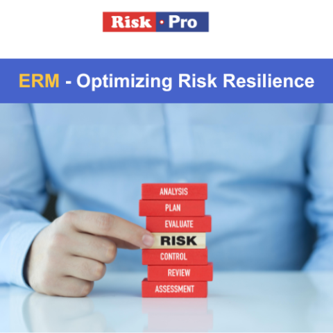 ERM-Optimizing Risk Resilience | Riskpro India - Connect with Risk Professionals